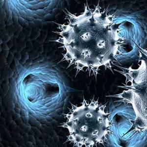 FL1953 - Protomyxzoa rheumatica - Funneliformis mosseae Version 1.5 ...